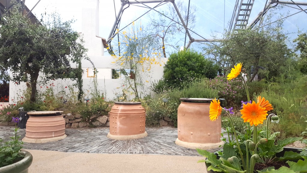 Dining Inside a Giant Terrarium: Med-Terrace Restaurant Experience at ...