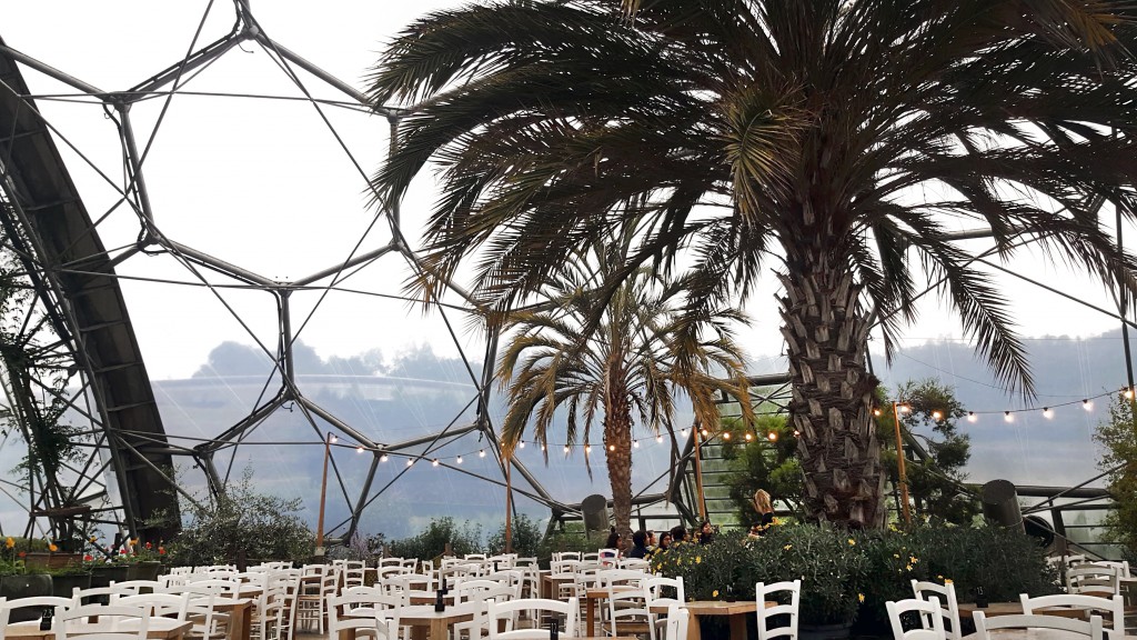 Dining Inside a Giant Terrarium: Med-Terrace Restaurant Experience at ...